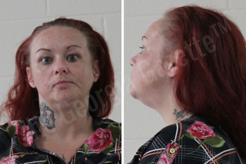 Jessica Frasier — Houston County Jail Bookings