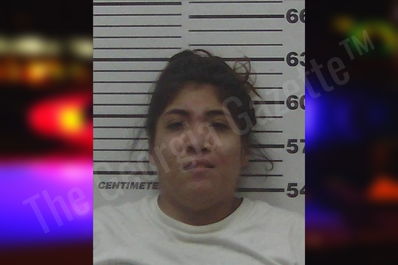 Sandra Govea — Colquitt County Jail Bookings