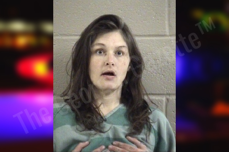 Breanna Garrison — Whitfield County Jail Bookings