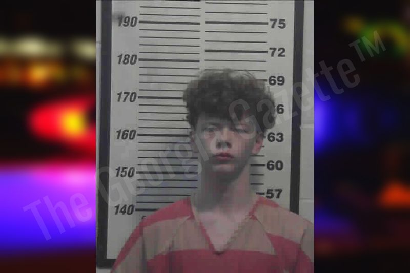 Sean Gober — Meriwether County Jail Bookings