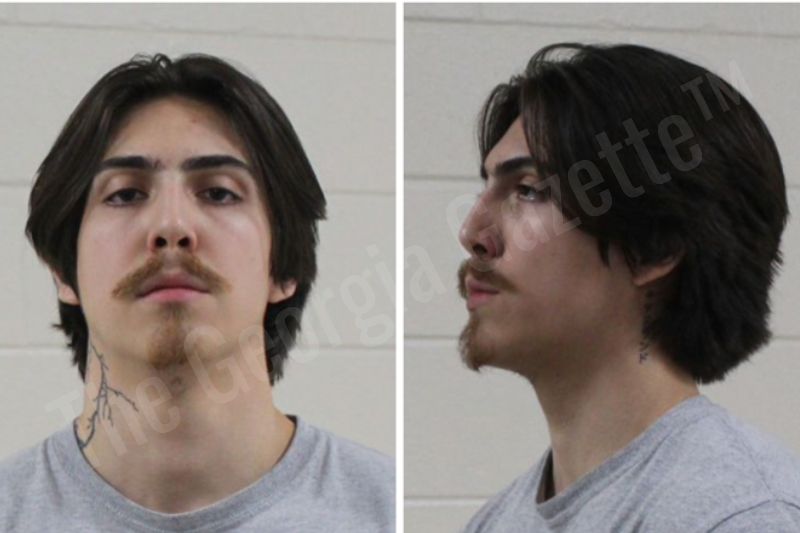 Marcus Gomes — Houston County Jail Bookings