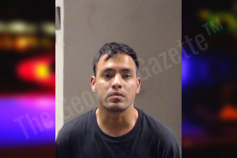 Alvaro Gonzalez — DeKalb County Jail Bookings