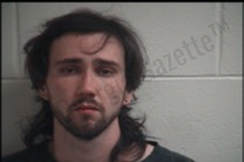 Alex Griffith — Henry County Jail Bookings