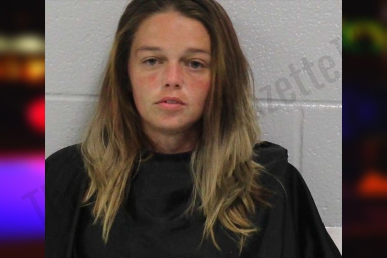 Ashley Hodges — Carroll County Jail Bookings