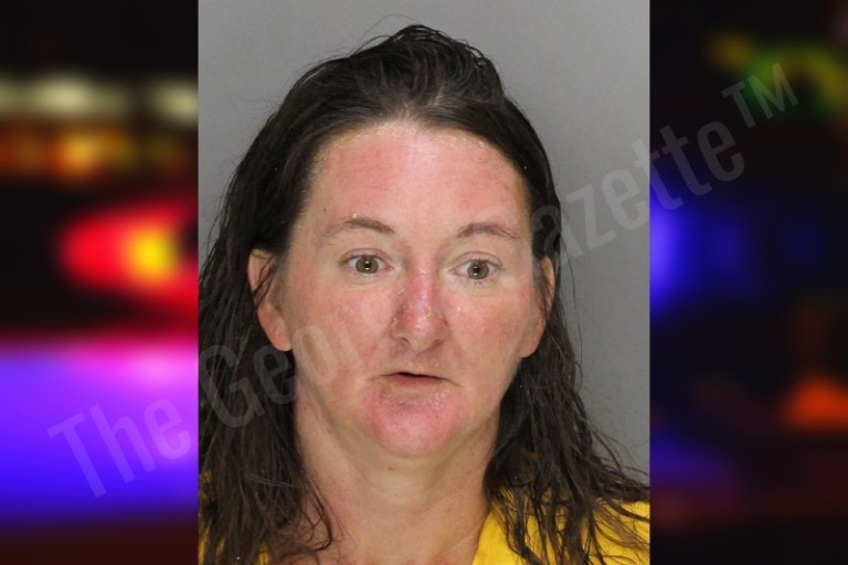 Hayley Hood — Cobb County Jail Bookings