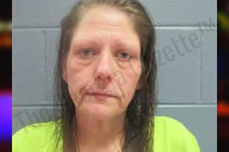 Amanda Hall — Lee County Jail Bookings