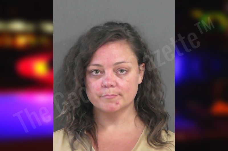 Michelle Hall — Gordon County Jail Bookings