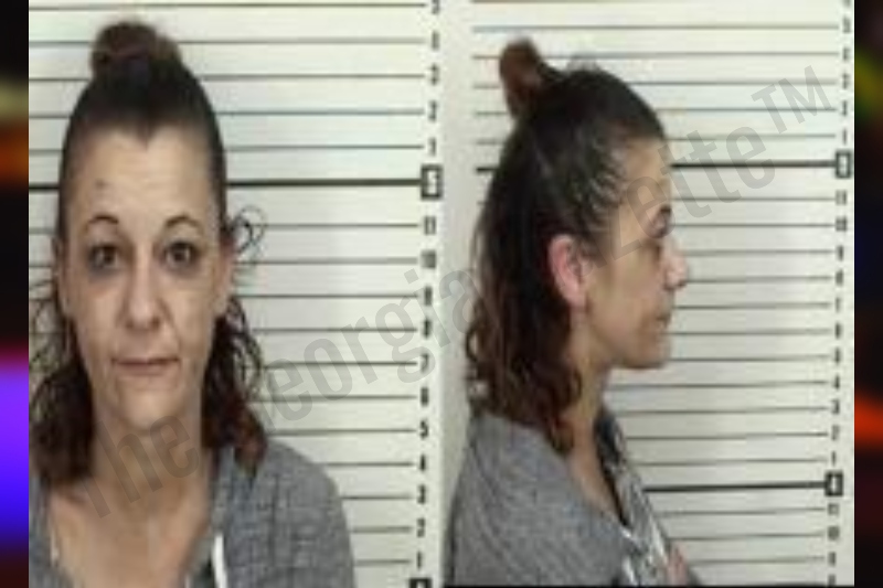 Allison Hansen — Camden County Jail Bookings