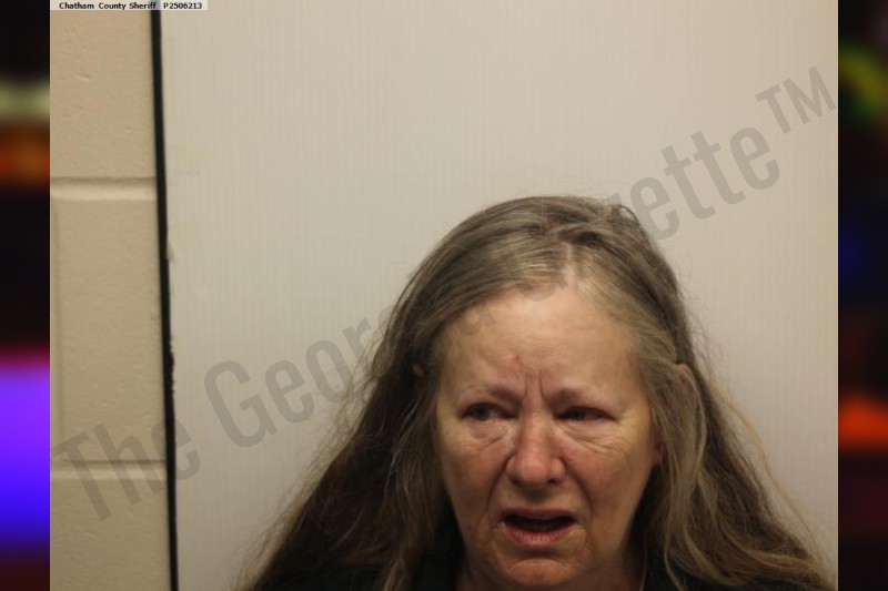 Kathy Holt — Chatham County Jail Bookings
