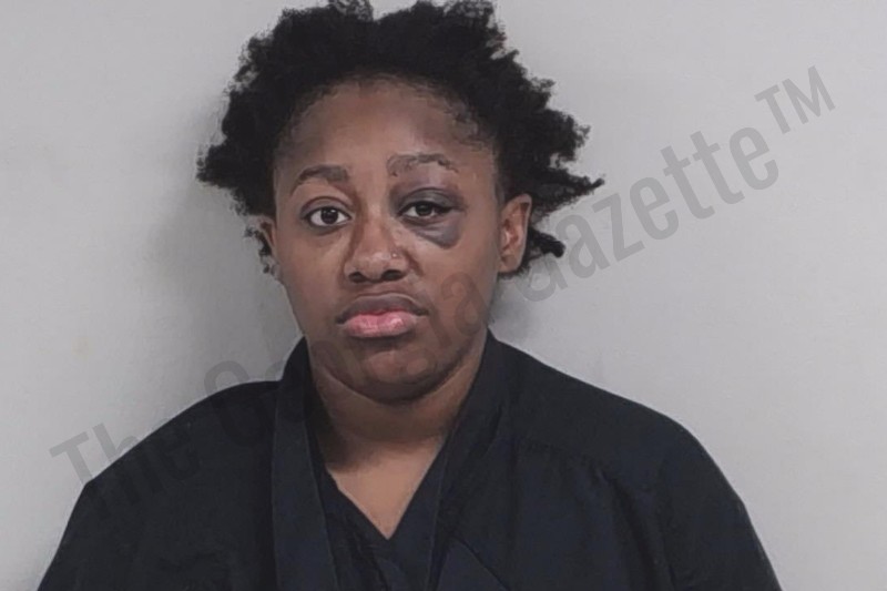 Promise Jackson — Lowndes County Jail Bookings