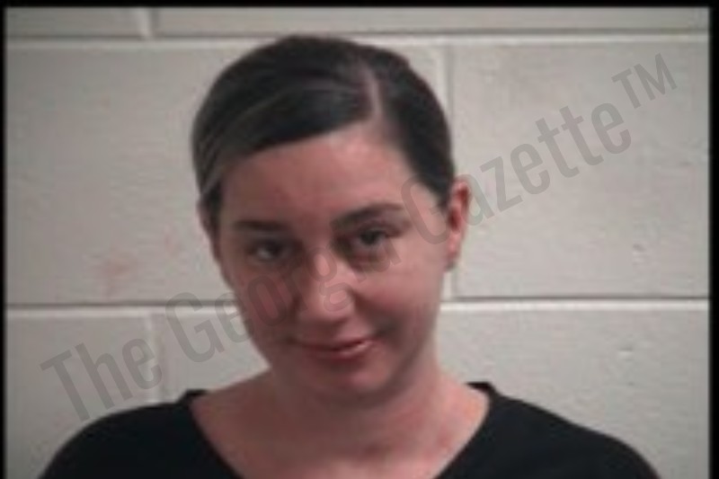 Aileen Johnson — Henry County Jail Bookings