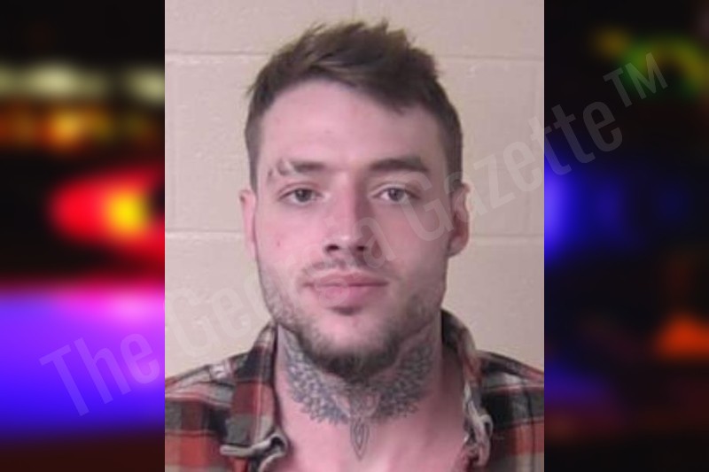 Matthew Johnson — Walker County Jail Bookings