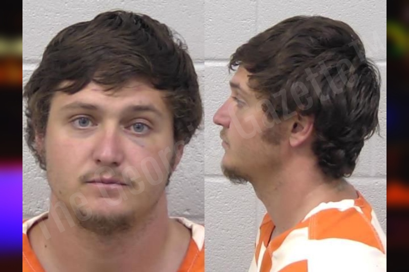 Dillon Jones — Paulding County Jail Bookings
