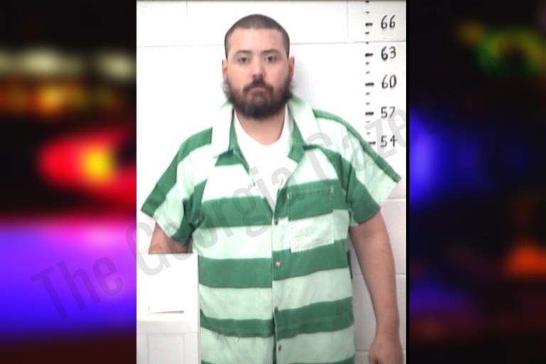 Remington Lamb — Emanuel County Jail Bookings