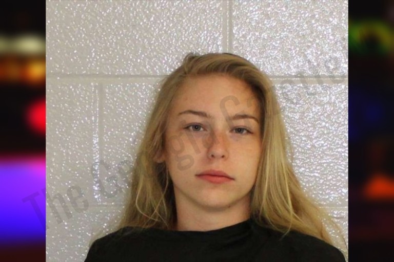 Bailey Morgan — Carroll County Jail Bookings