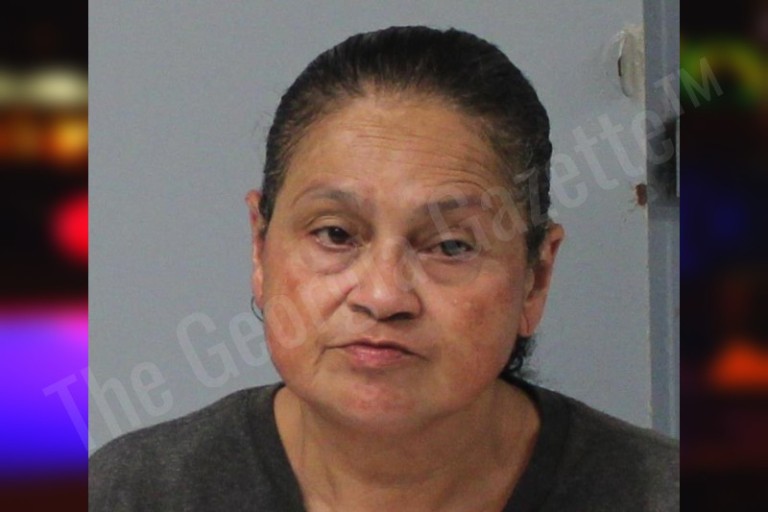 McIntosh County Jail Bookings – Page 4 – The Georgia Gazette