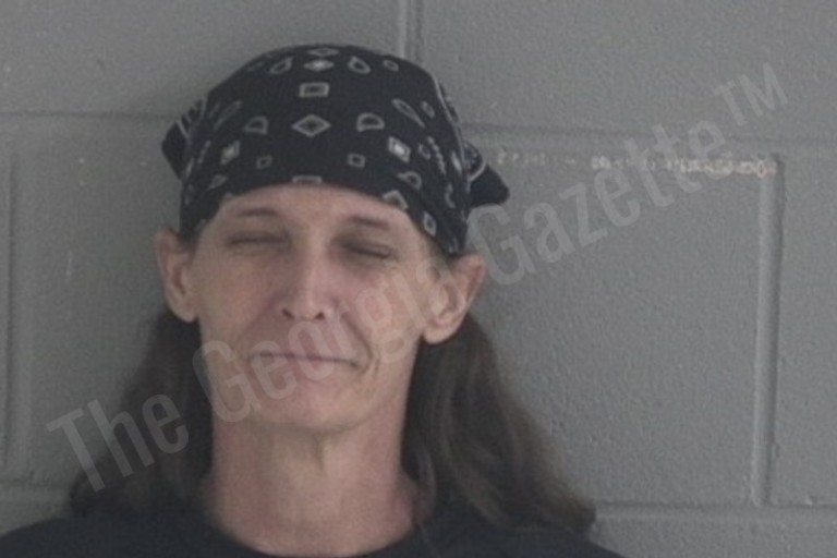 Amanda Mathis — Brantley County Jail Bookings