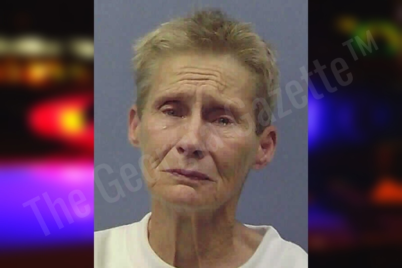 Tina McGuire — Chattooga County Jail Bookings