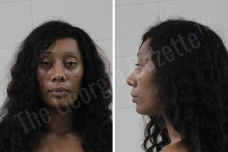 Ariel McKinney — Houston County Jail Bookings