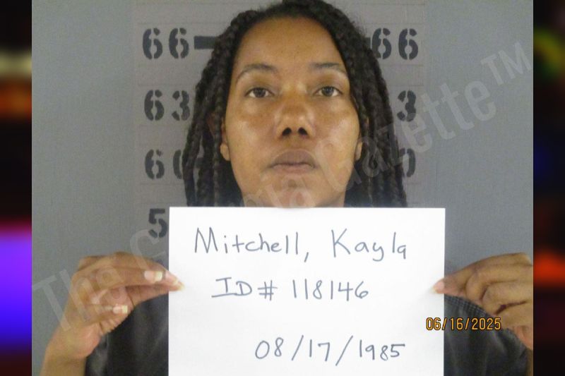 Kayla Mitchell — Dougherty County Jail Bookings