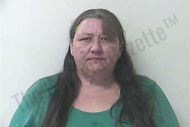 Melissa Mize — Oconee County Jail Bookings
