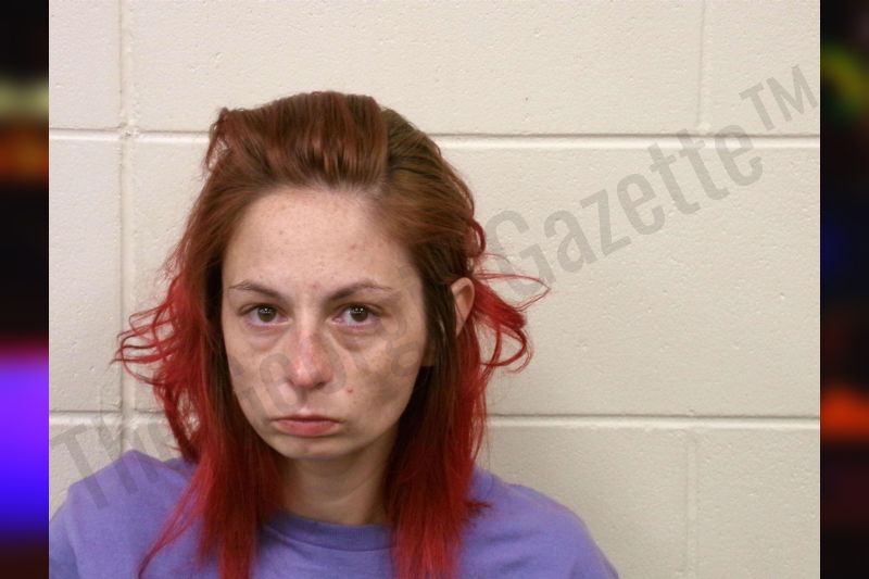 Alexis Moxley — Bulloch County Jail Bookings
