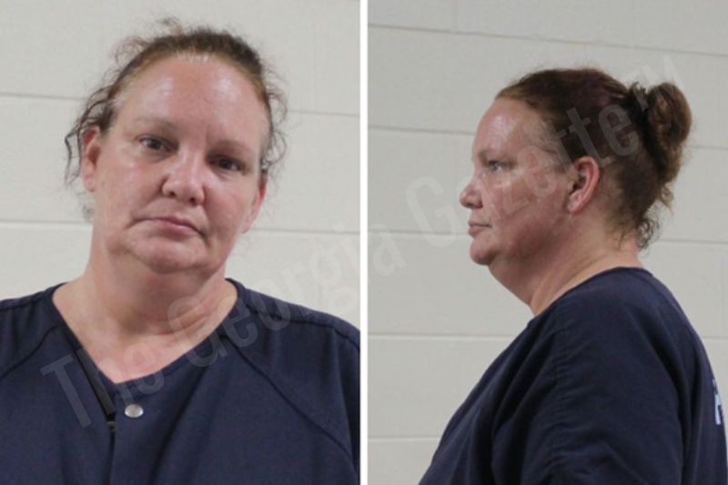 Amber Neisler — Houston County Jail Bookings