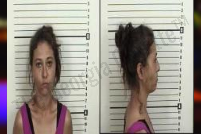 Debra Newman — Camden County Jail Bookings