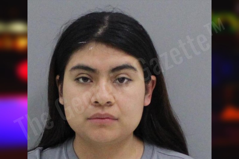 Rosali Olvera-Tapia — Rabun County Jail Bookings