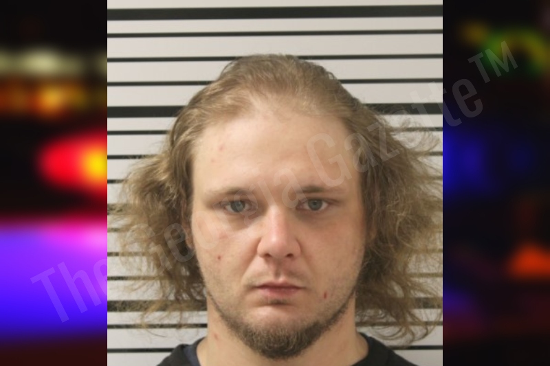 David-Allen Palmer — Toombs County Jail Bookings