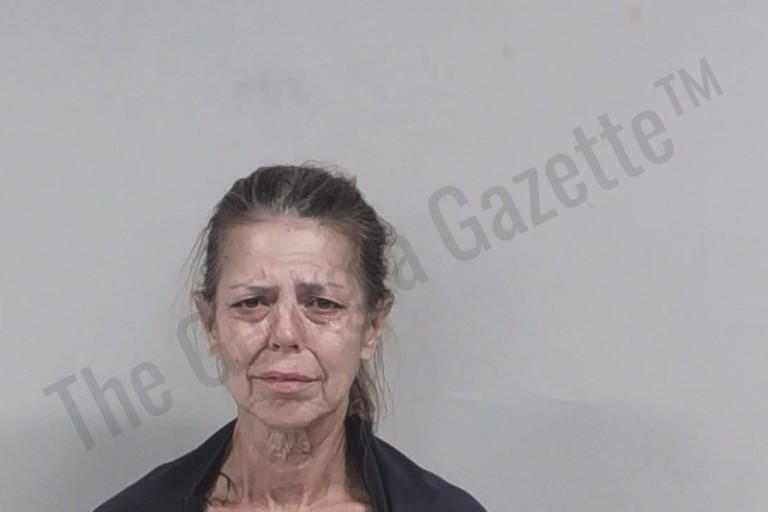 Karen Pittman — Lowndes County Jail Bookings