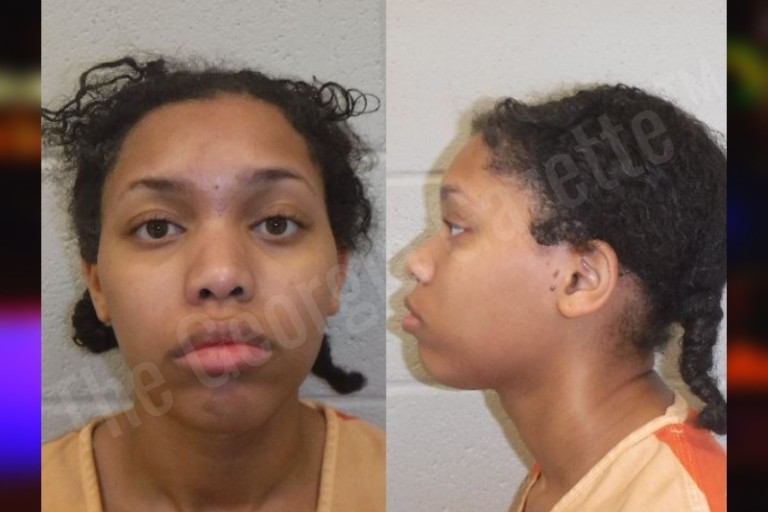 Raven Palmer — Paulding County Jail Bookings