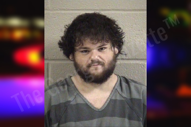 Dylan Plott — Whitfield County Jail Bookings