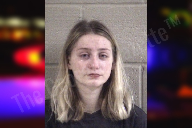 Lilly Preat — Whitfield County Jail Bookings