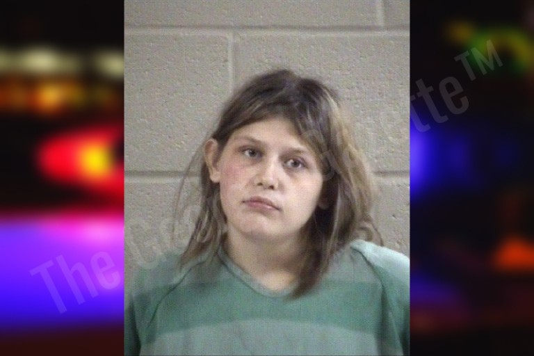 Taylor Proctor — Whitfield County Jail Bookings