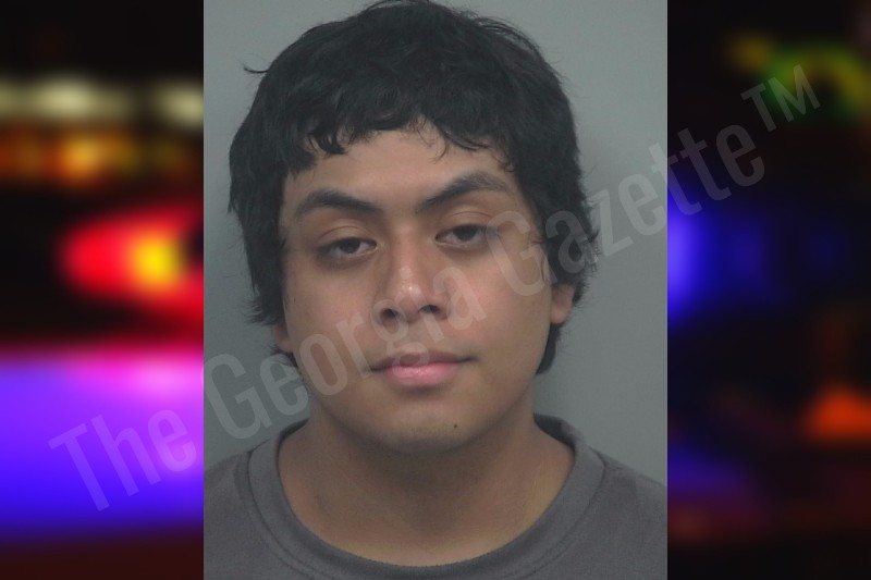 Daniel Ramirez-Damian — Gwinnett County Jail Bookings