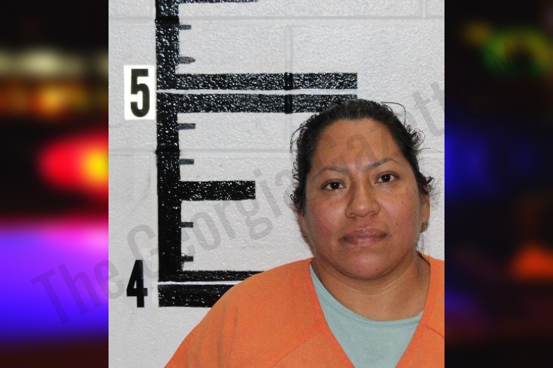 Carmela Ramirez-Mendez — Murray County Jail Bookings