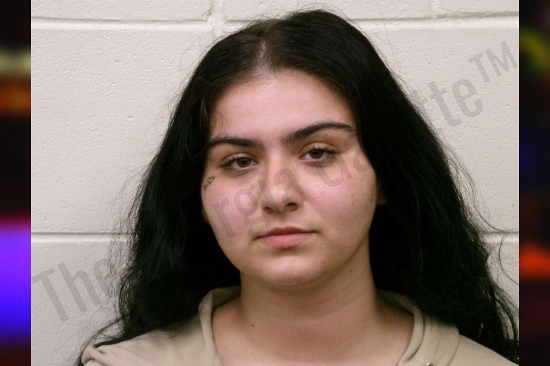 Cylest Resendiz — Bulloch County Jail Bookings