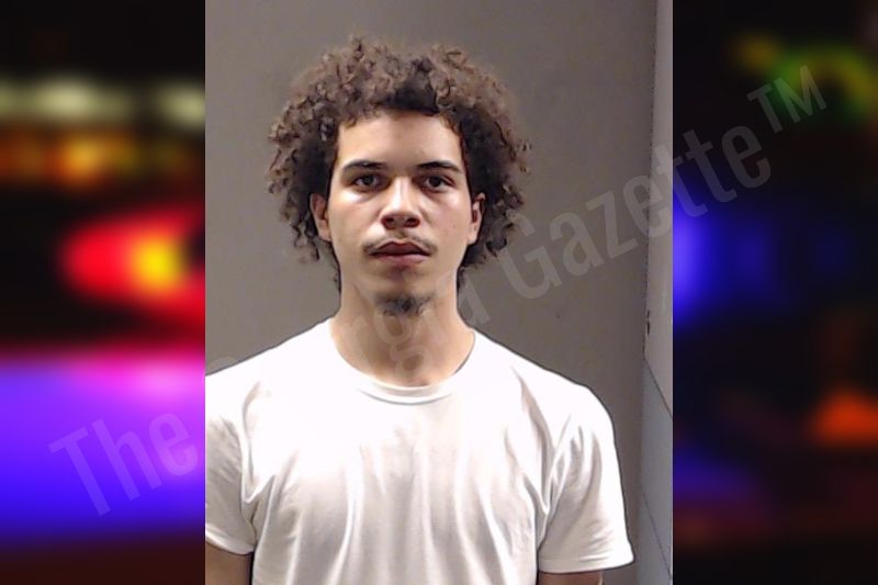 Jordan Rice — DeKalb County Jail Bookings
