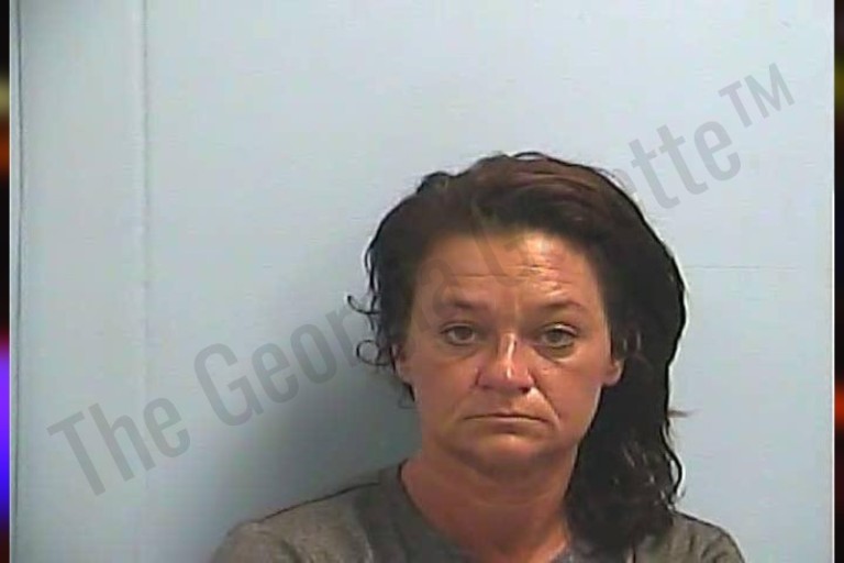 Amy Rivers — Dawson County Jail Bookings