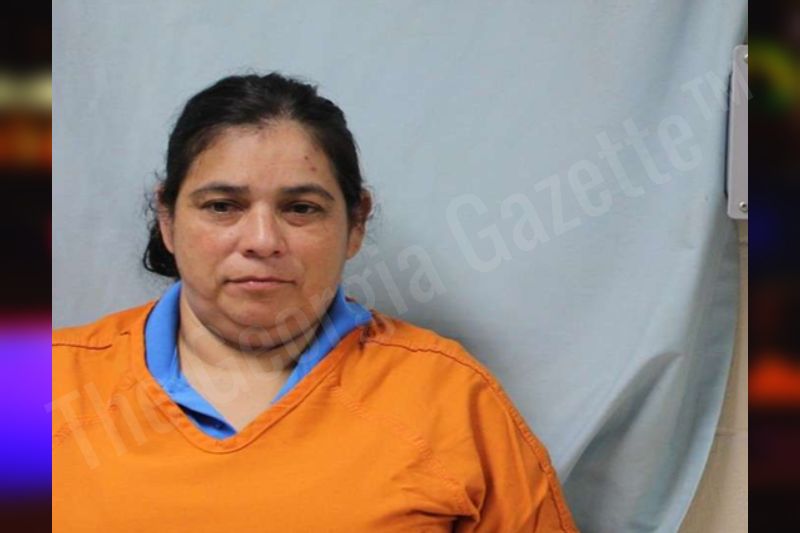 Anna Ruiz — Seminole County Jail Bookings