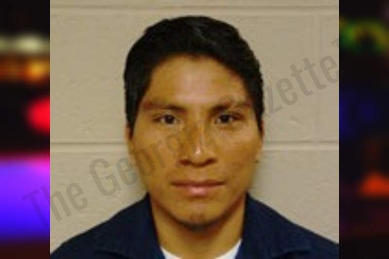 Henry Sales-Gabriel — Henry County Jail Bookings