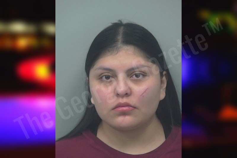Betzaida Sanchez — Gwinnett County Jail Bookings
