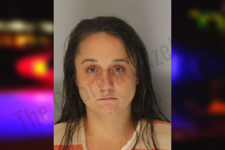Emily Smith — Hall County Jail Bookings