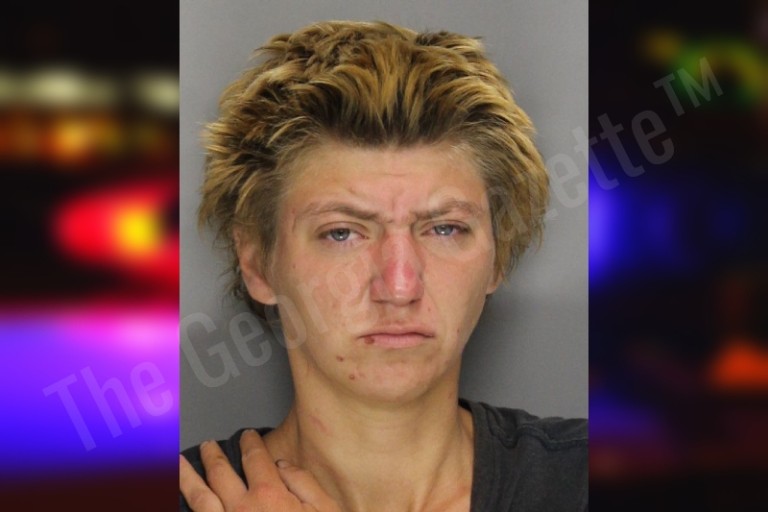 Rebecca Smith — Cobb County Jail Bookings