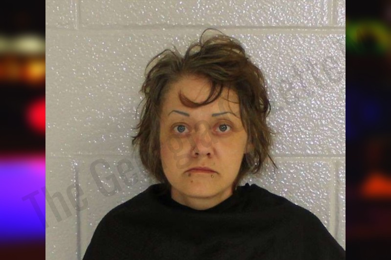 Kalin Steed — Carroll County Jail Bookings