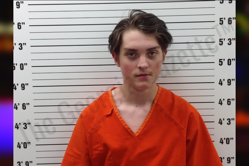 Brayden Smith — Pickens County Jail Bookings