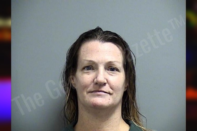 Allison Snider — Effingham County Jail Bookings