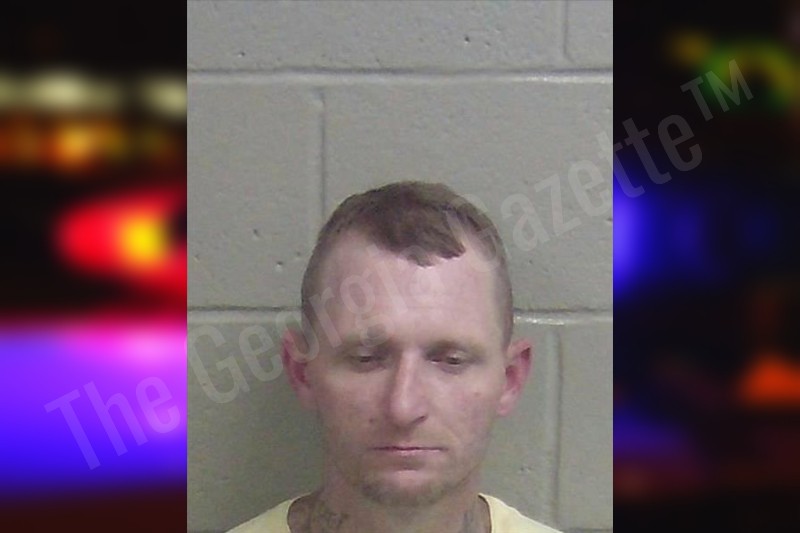 Justin Spradley — Wayne County Jail Bookings