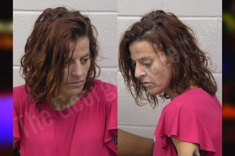 Holly Stanley — Paulding County Jail Bookings